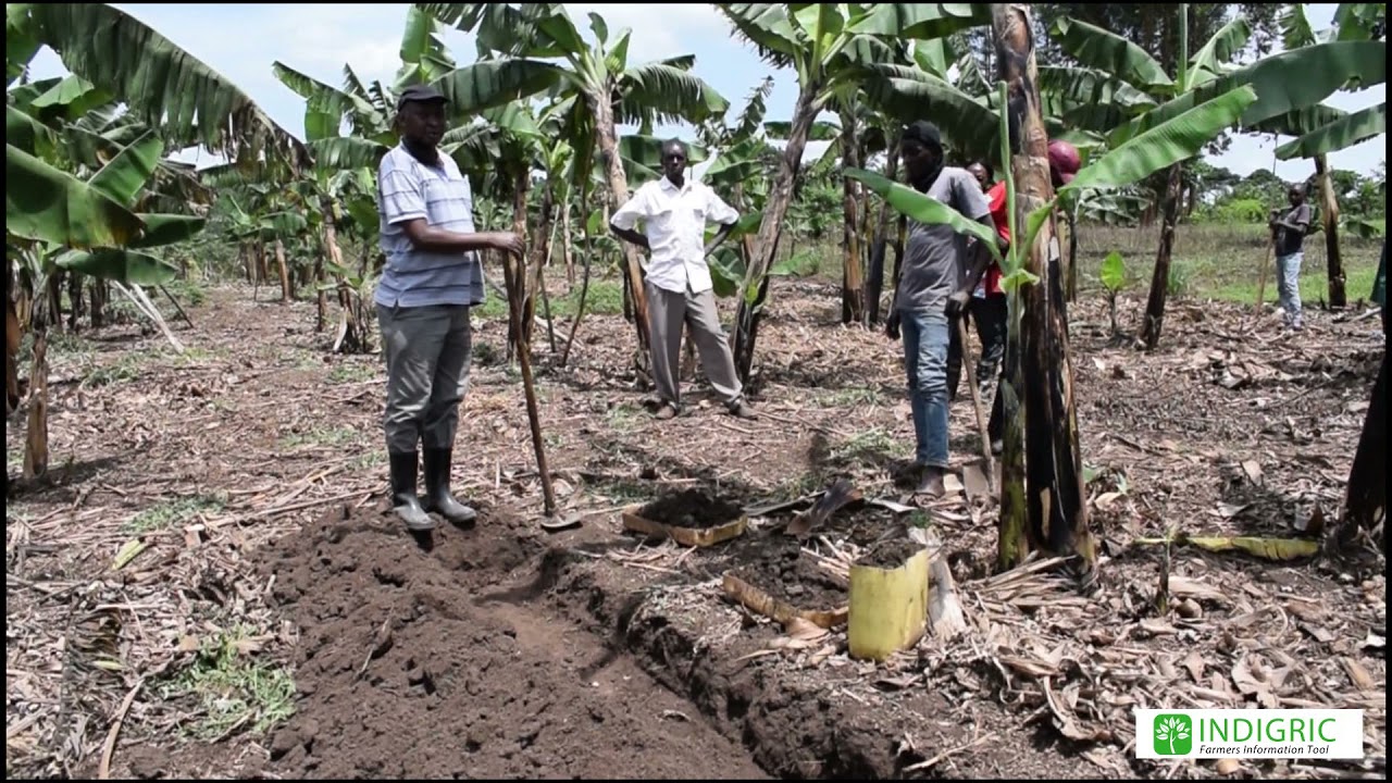 Manure Application - YouTube