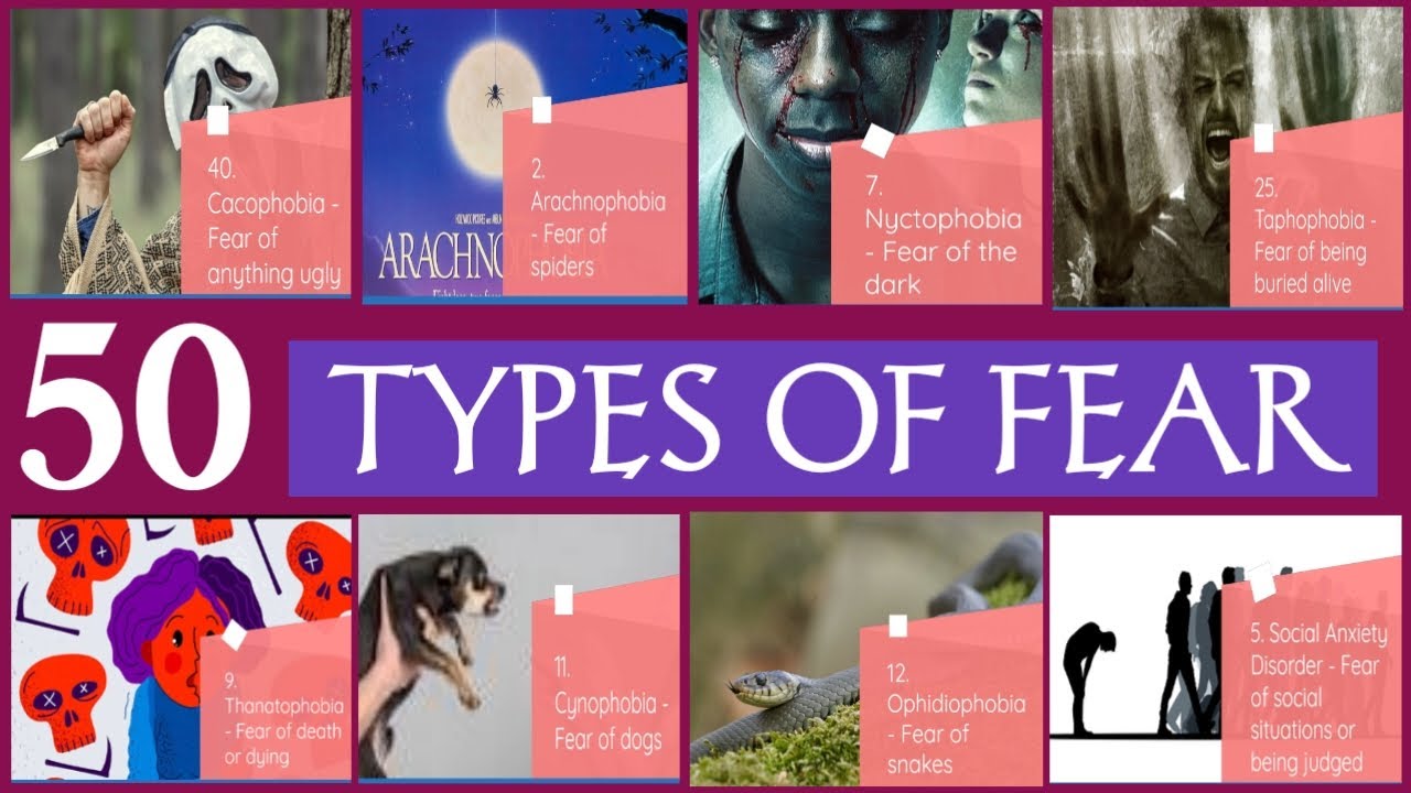 50 Types of Fear / Types of Phobia / Fear Types . - YouTube