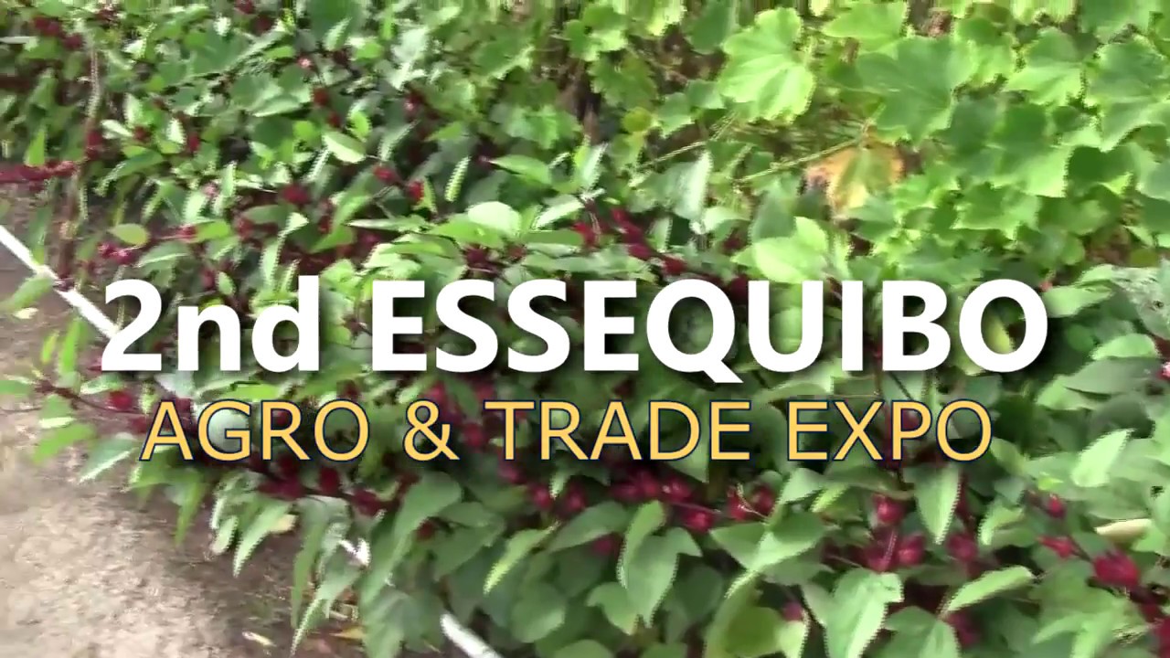 Esseq 2nd Agro & Trade Expo 30 sec ad - YouTube