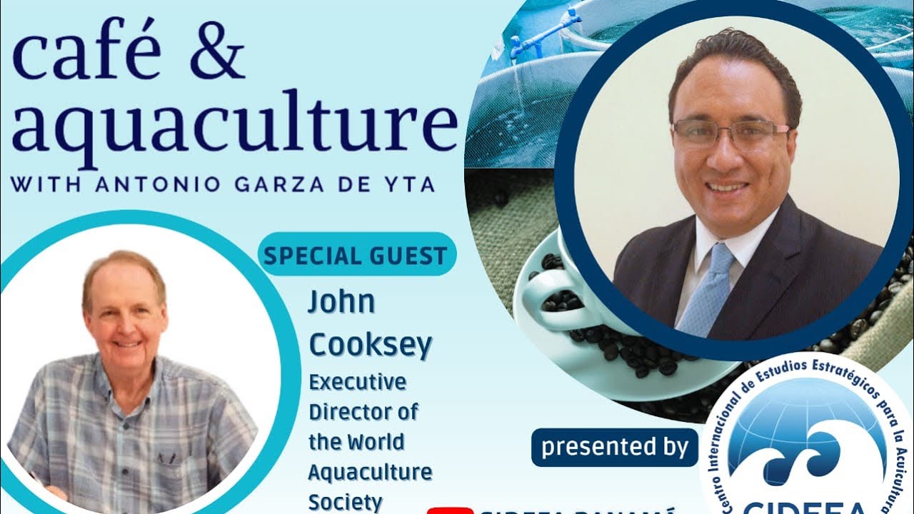 C&A / Interview with John Cooksey - YouTube