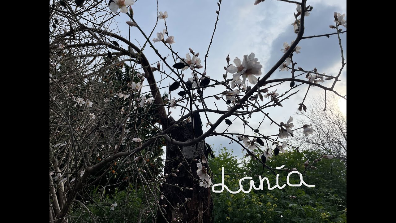 Laneia, Cyprus. Ланея, Кипр - YouTube