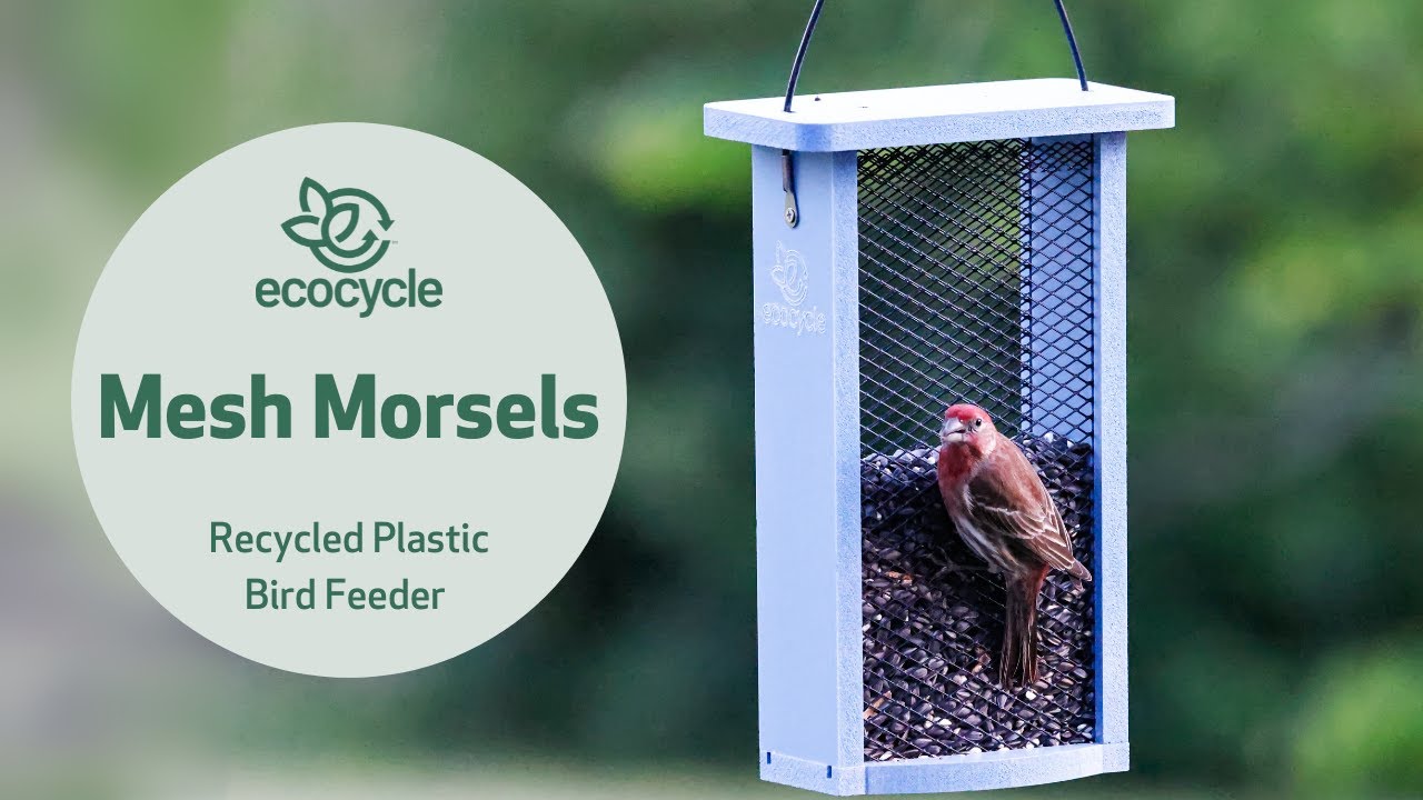 Mesh Morsels Recycled Plastic Mesh Bird Feeder | EcoCycle™ Recycled ...