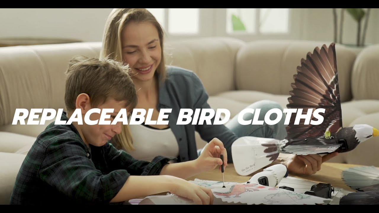 Go Go Bird Eagle RC Bird Flight - YouTube