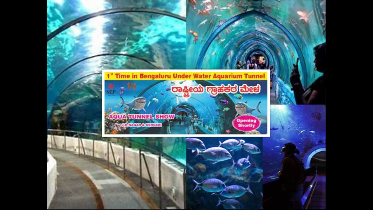 Aqua Tunnel Bangalore | Underwater Aqua Tunnel Bangalore | Fish ...