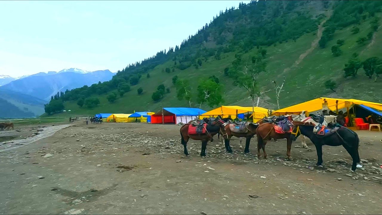Indian countryside | Explore the rolling hills of Sonamarg : Peaceful ...