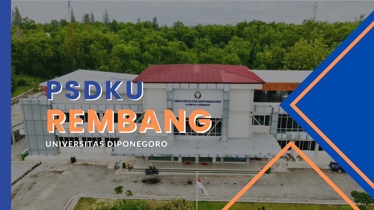 Profil Program Studi Administrasi Publik S1 PSDKU Rembang - YouTube