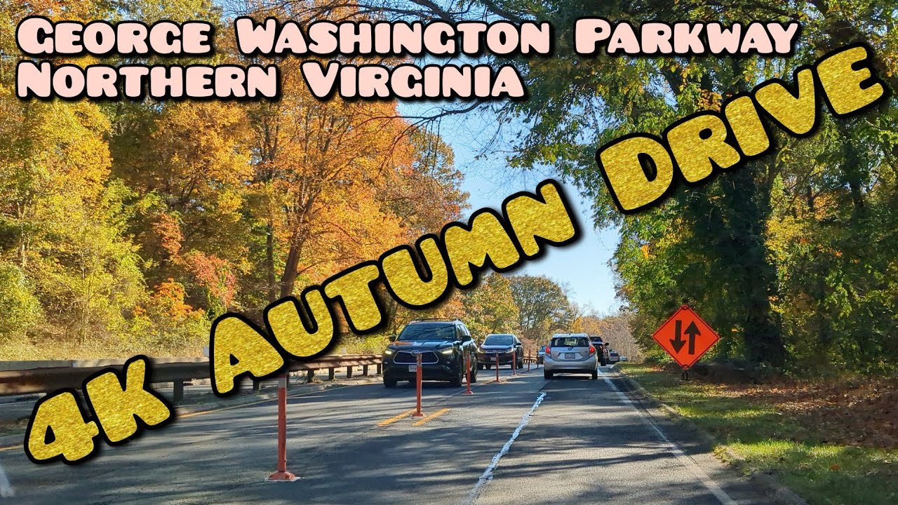4K autumn drive - YouTube