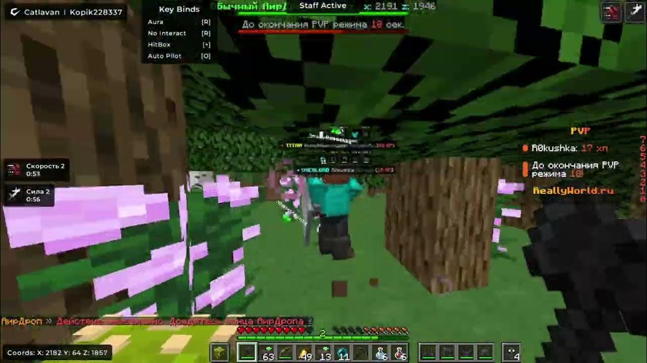 EXPENSIVE UPGRADE - CATLAVAN ЗАБУСТИЛ REALLYWORLD - YouTube