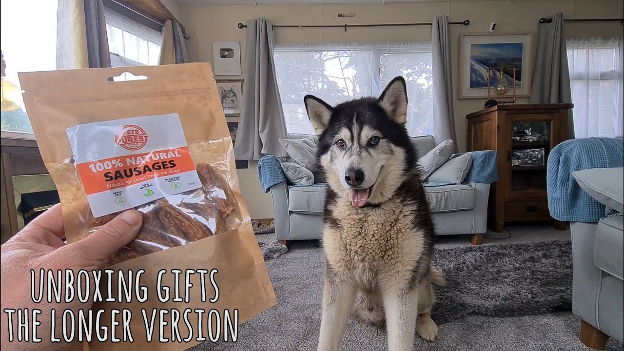Lucky Husky opens his Gifts sent from You | The Longer Version - YouTube