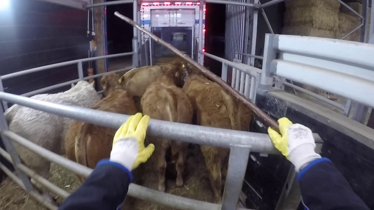 Fresser ladung...... - YouTube