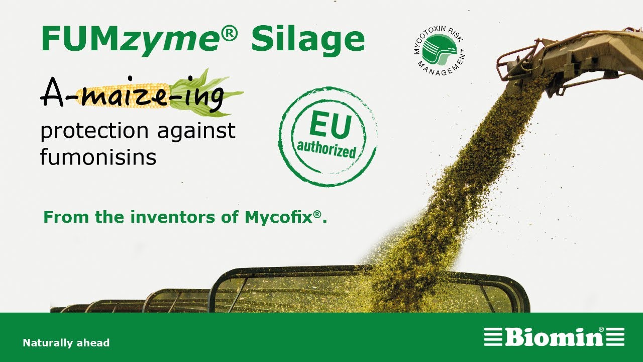 FUMzyme® Silage: a-maize-ing protection against fumonisins - YouTube