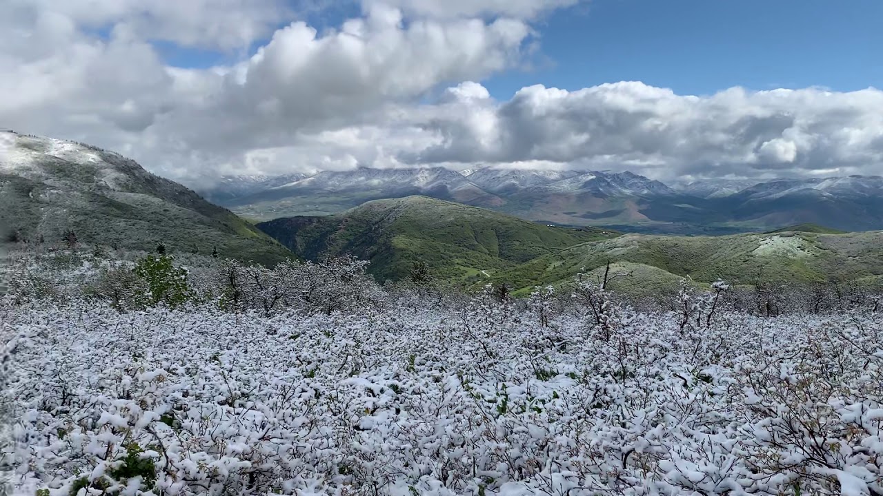 Spring Snowstorm in Utah - May 23, 2020 - YouTube