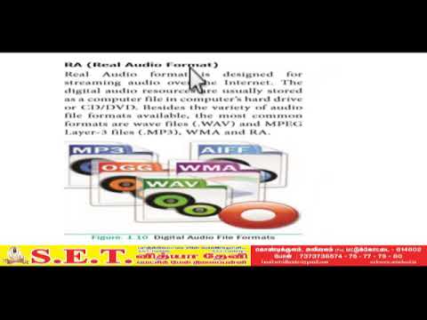 XII Computer Applications - File Formats for Multimedia - YouTube