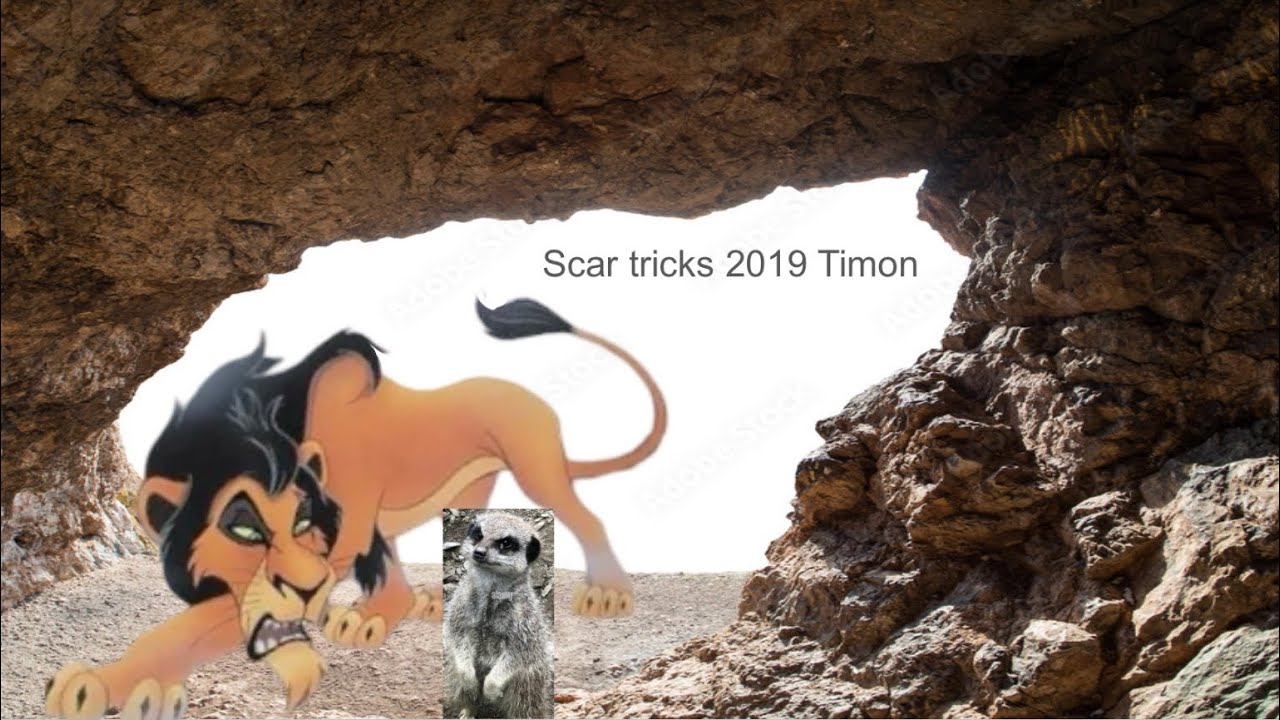 Scar tricks 2019 Timon - YouTube