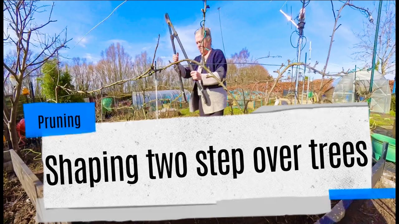 Shaping our step over apple trees - YouTube