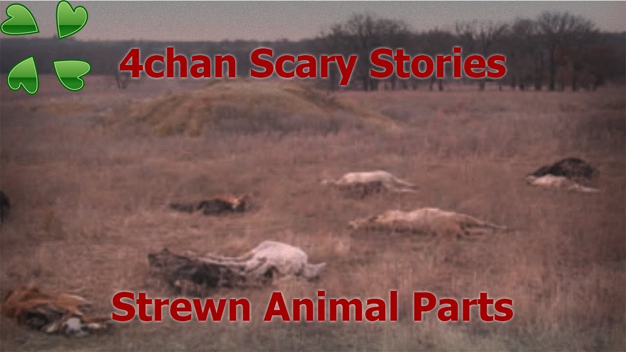4Chan Scary Stories :: Strewn Animal Parts - YouTube