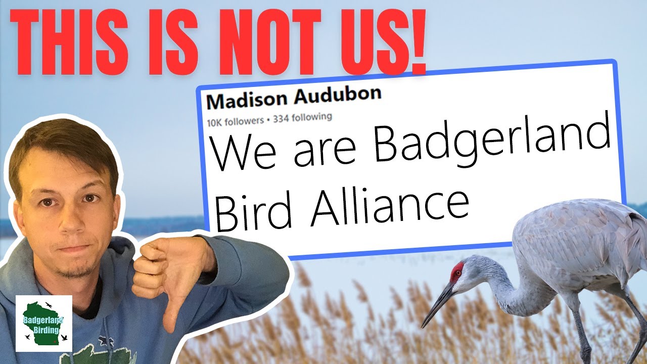 A National Audubon Chapter is Trying to STEAL Our Name! - YouTube