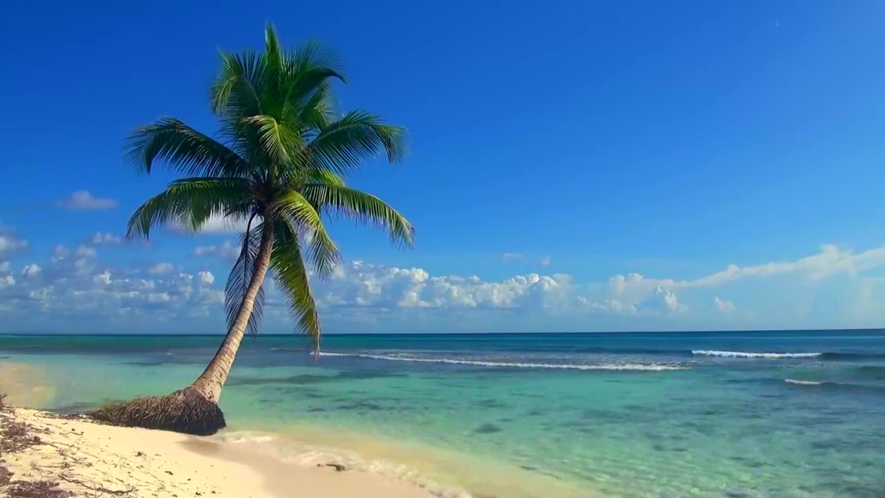 Relax by a Tropical Beach! Relaxing Sleep Sounds-3 HOURS!!- Blue Sky ...