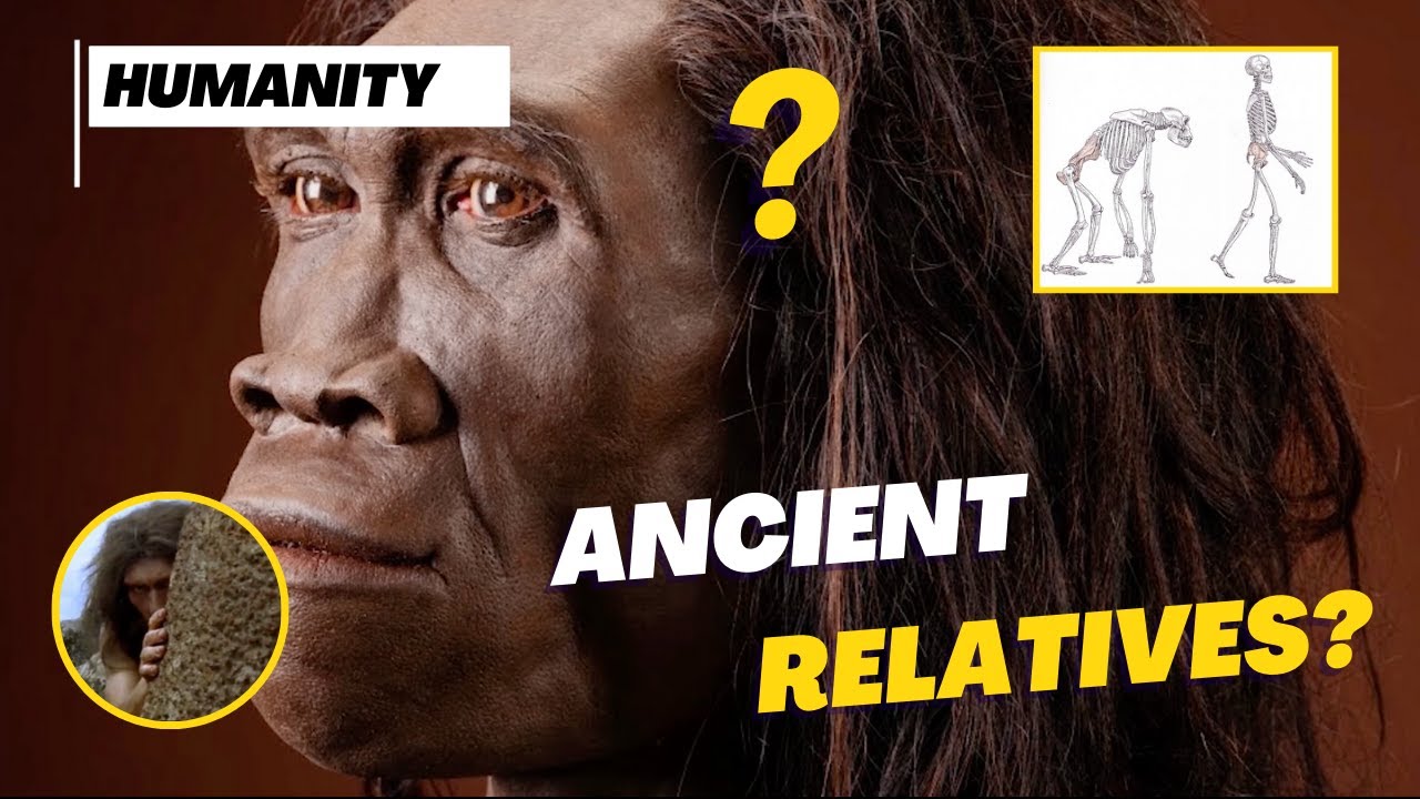 Get To Know Your ANCIENT Relatives! | A Fascinating Journey - YouTube