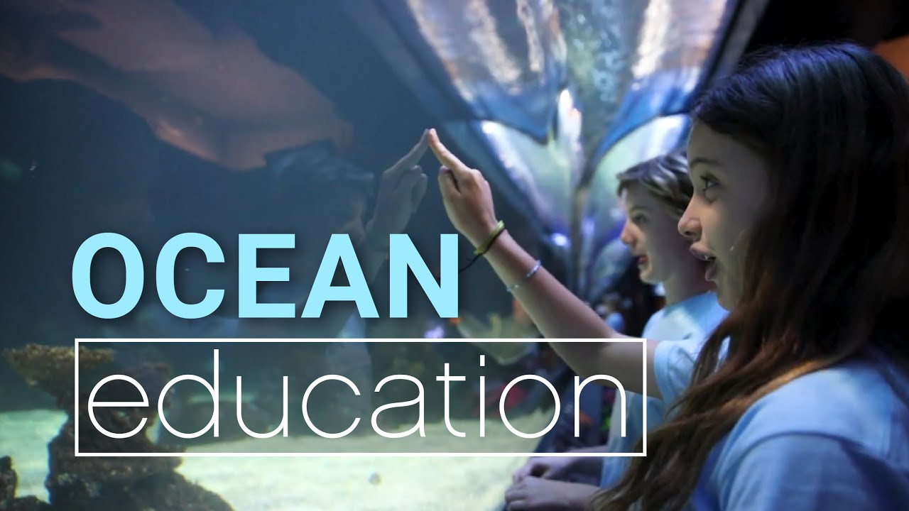 Aquaschool at the Vancouver Aquarium | Ocean Education - YouTube