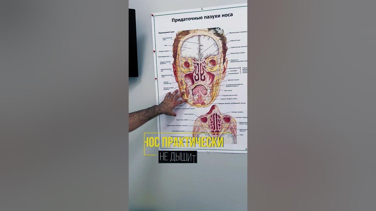 РИНОПЛАСТИКА В МАХАЧКАЛЕ - МАХОЧИ ШАМИЛОВИЧ. Бесплатная консультация по воцап +7 928 555 9966 ...