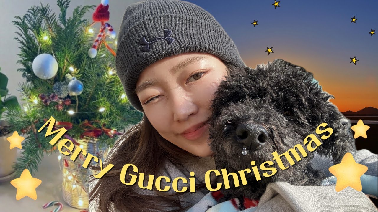 A Cozy Christmas with Gucci 🎄🐶 - YouTube