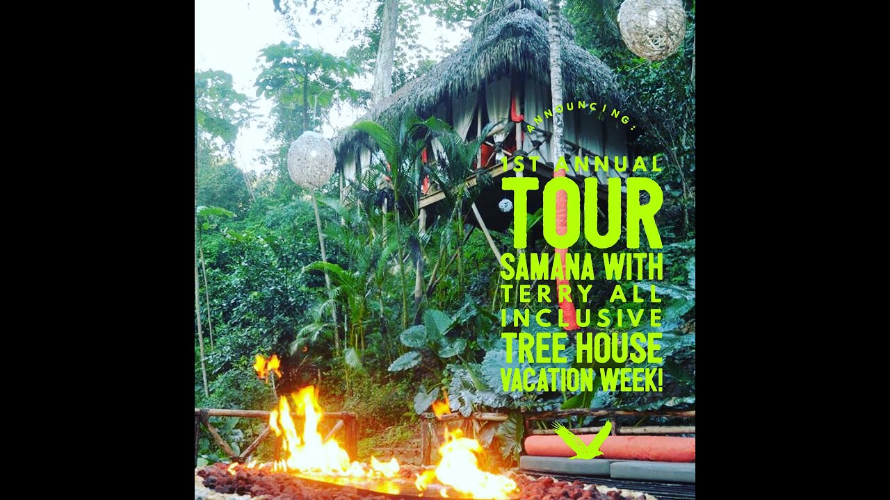 Ewok Village Tree House Hotel All Inclusive Vacation Week! Tour Samana ...