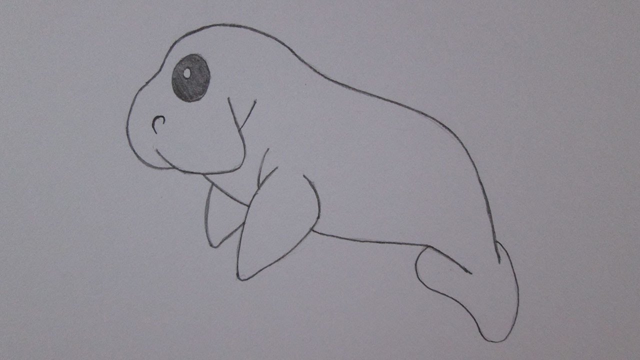 Cómo dibujar un manatí - YouTube