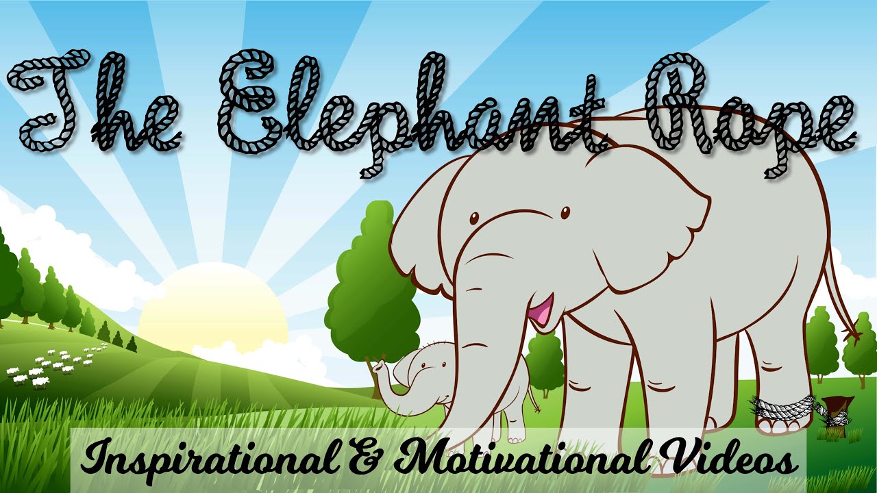 The Elephant Rope - Short Motivational Story (Belief is the most ...