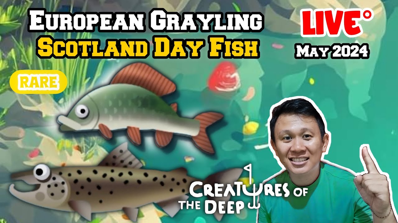 European Grayling Creatures of the Deep Location in Scotland # ...