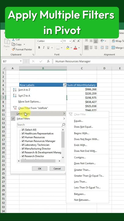 Filter Frenzy in Excel Pivot Tables! apply multiple filters in pivot table in excel - YouTube