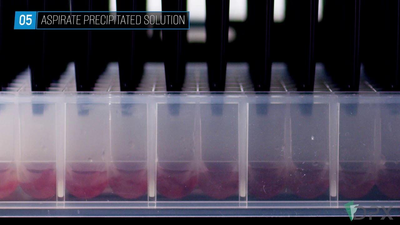 Automated Protein Precipitation for Whole Blood - YouTube
