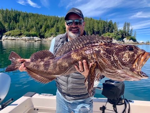 Underwater Lingcod Strike using Lighthouse Lures Max Shad Swimbaits ...