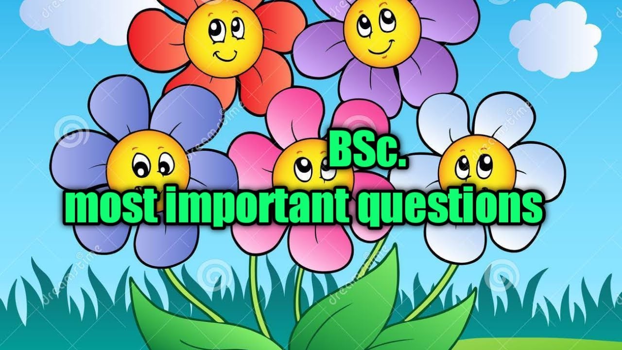 BSc Physics Honours Last Year Question Papers Bsc Physics Honours bsc-physics-honours-last-year-question-papers-bsc-physics-honours