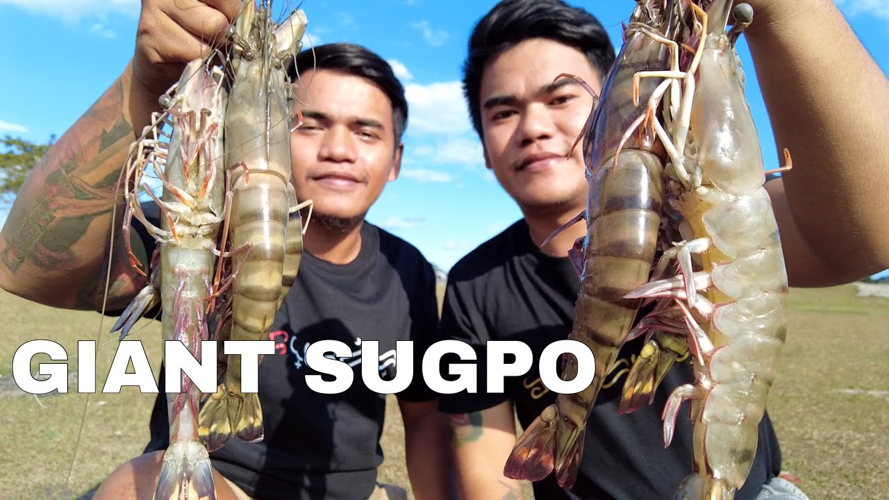 OUTDOOR COOKING | GIANT SUGPO - YouTube
