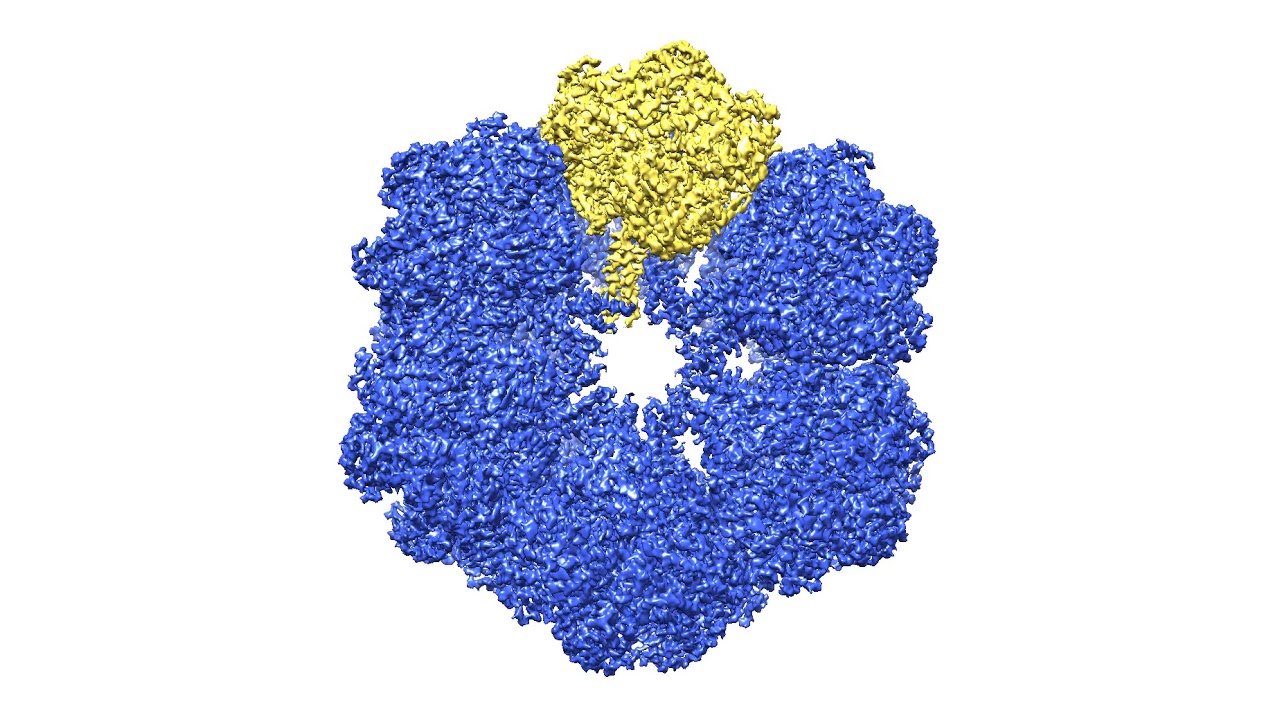 Single-particle cryo-EM using alignment by classification - YouTube
