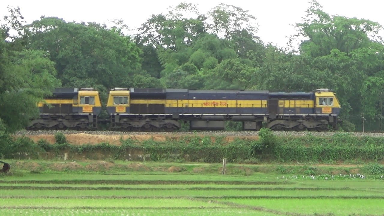 Twin SGUJ WDG4D hauling BCNA freight wagons - YouTube