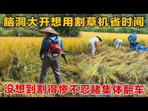 万万没想到！割草机割稻谷这么难，本想省时间，到头来是闹了一场笑话，没用过导致集体翻车💥