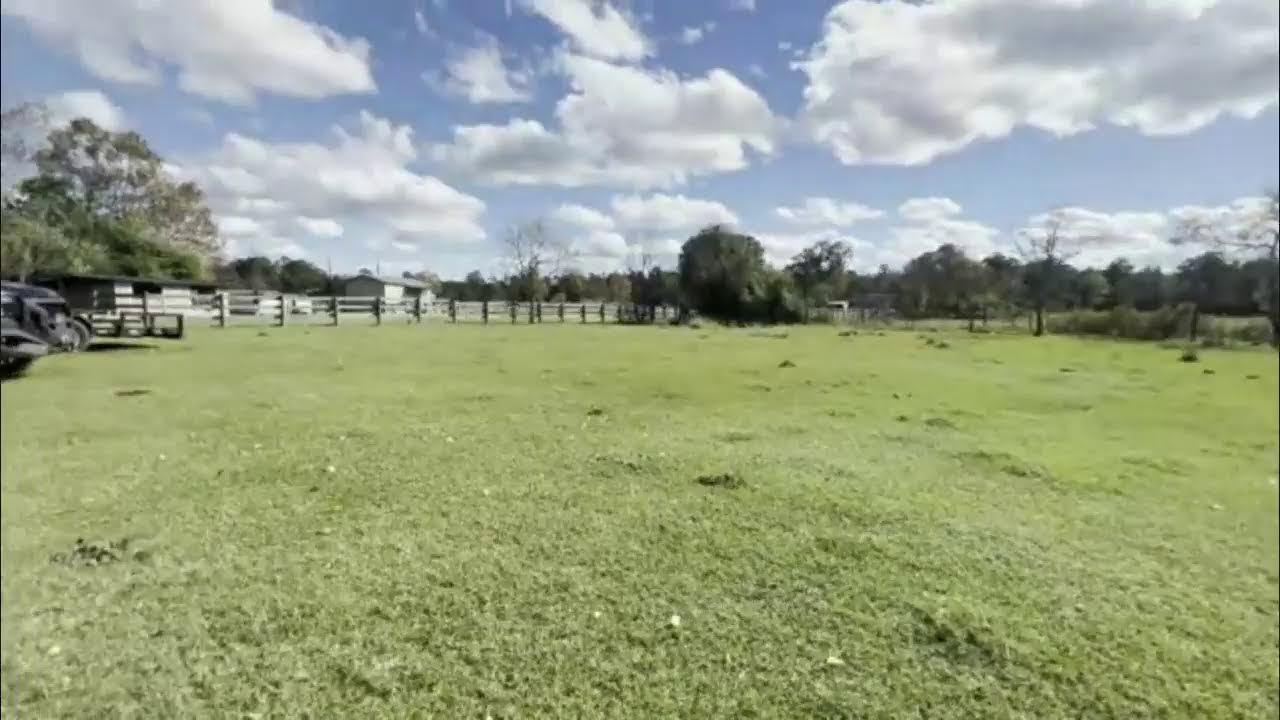 Lets try again. LIVE in the NEW PASTURE! - YouTube
