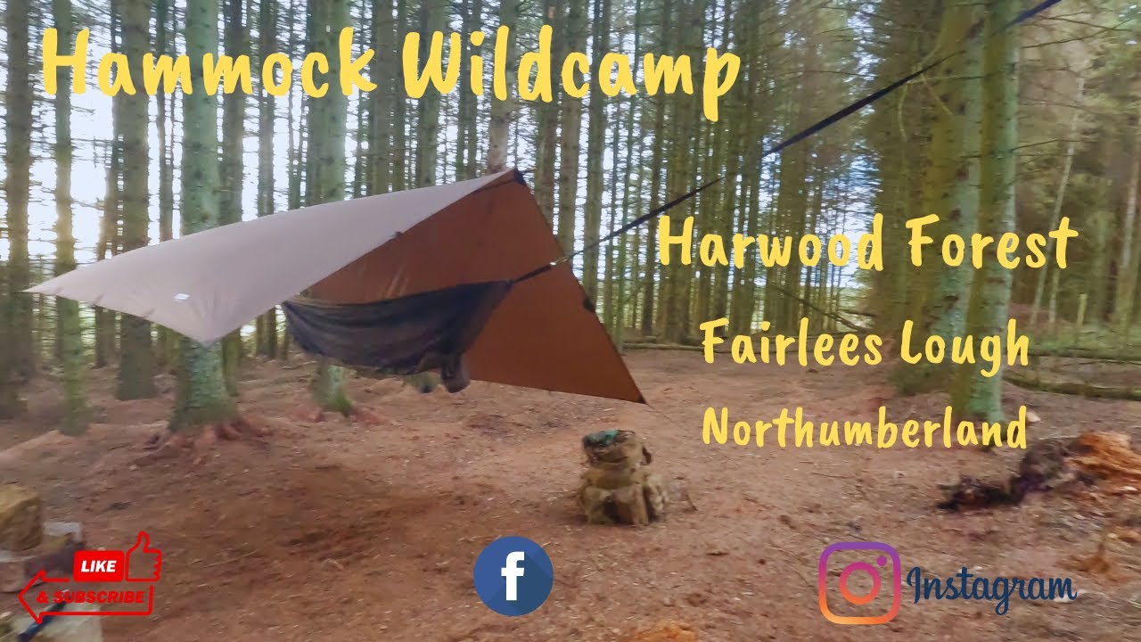 Wildcamping At Fairlees Lough In Harwood Forest - YouTube
