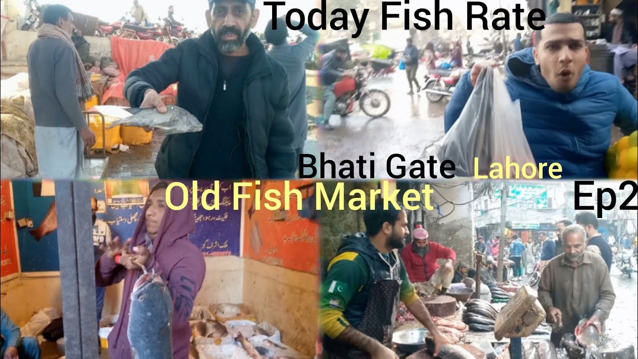 Old Fish Market Bhati Gate Lahore episode 2 - YouTube