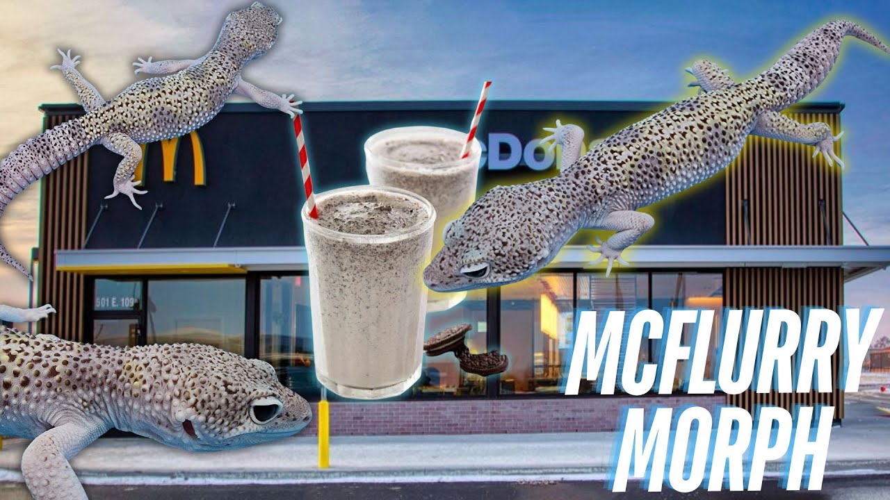 Oreo McFlurry Morph! - YouTube