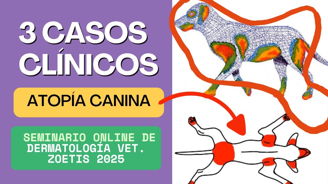 3 Casos clínicos actualizados de Atopía canina - Seminario online de ...