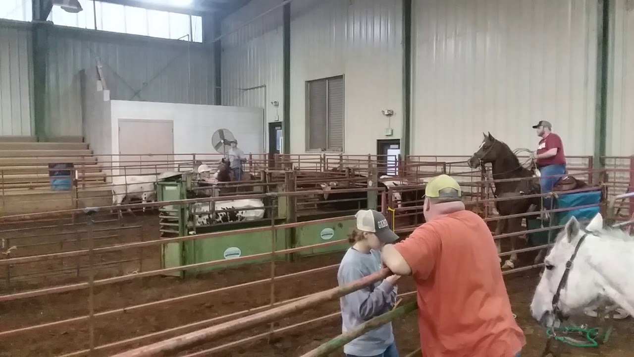 Heading RC Team Roping - YouTube
