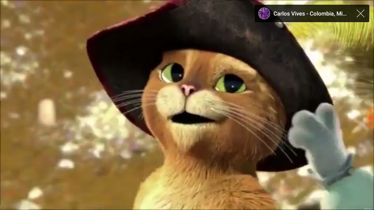 dulcinea and puss song - YouTube