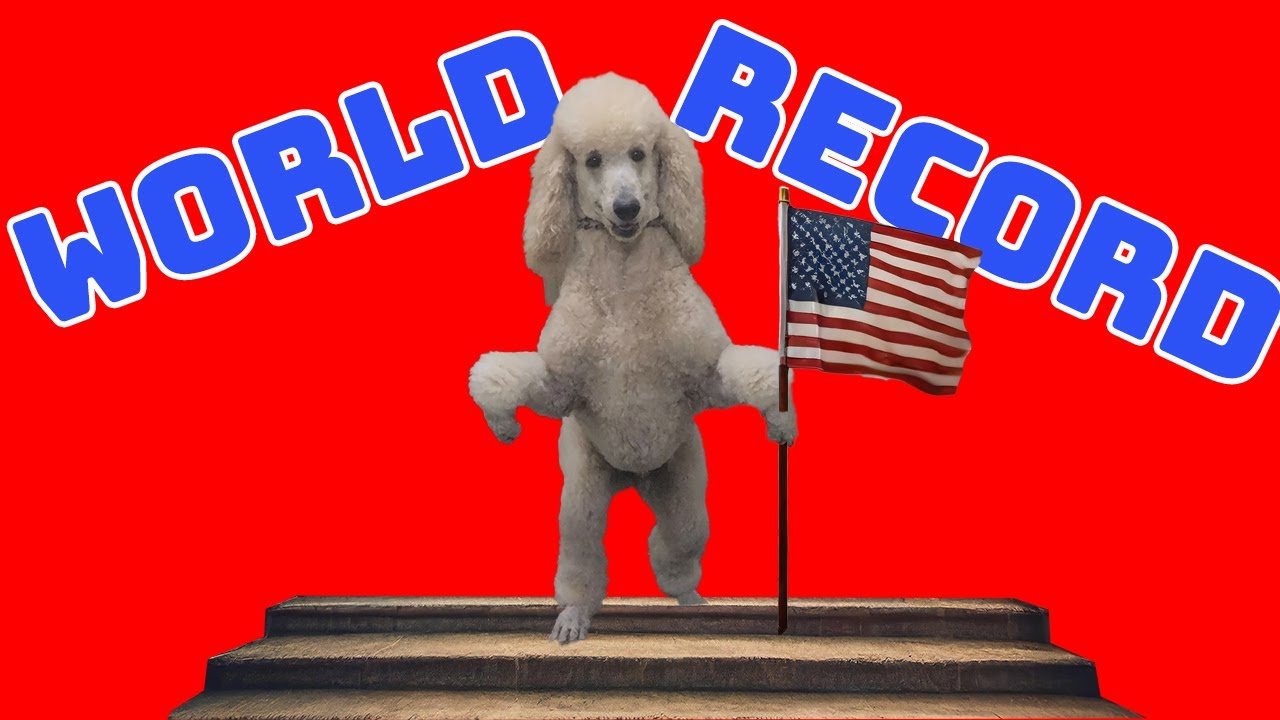 Two UNBELIEVABLE world records SMASHED!!! - YouTube