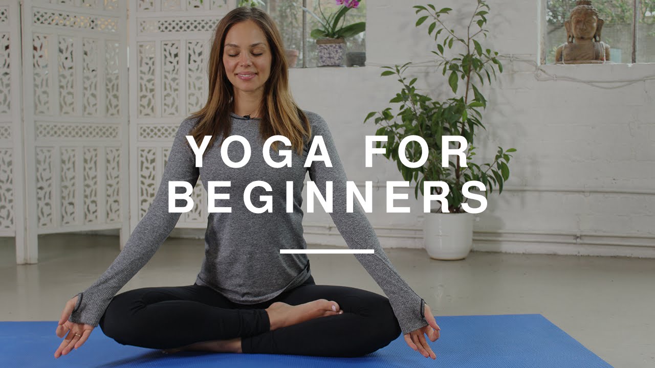 Yoga for Beginners - 20 minute Workout | Danielle Hayley | Wild Dish ...