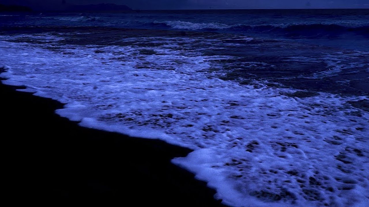 Gentle Ocean Sounds For Sleeping 🌊 Ocean Sounds For Deep Sleep - ASMR ...