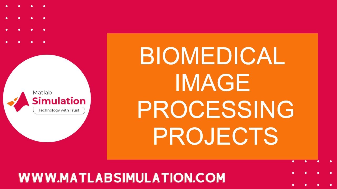 Biomedical Image Processing Projects | Biomedical Image Processing ...