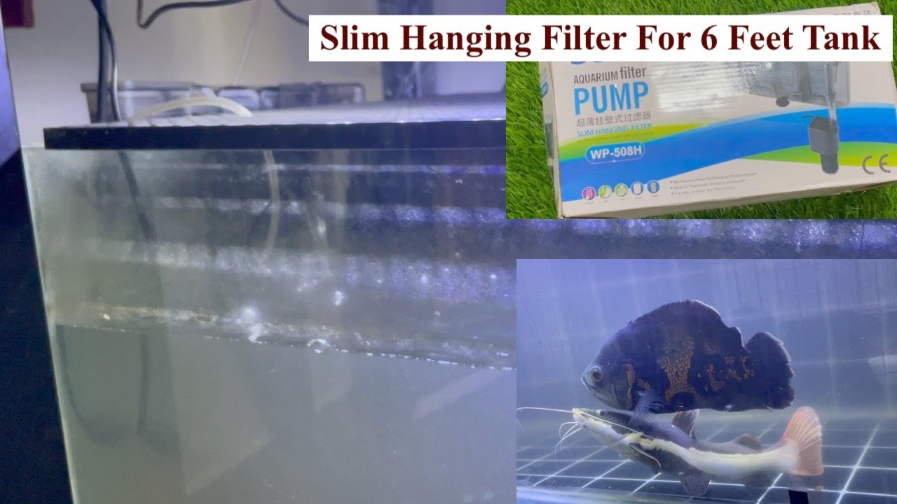 Trying Slim Hanging Filter For 6 Feet Tank | Simbaa Vlogs - YouTube